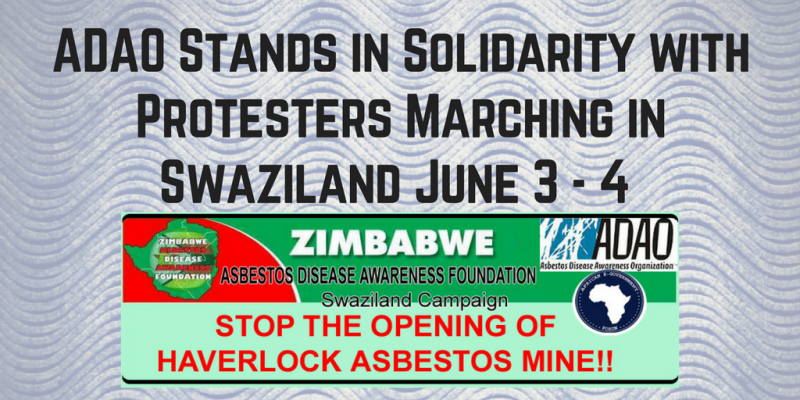 UK Activist David Muchingami Leads Swaziland Protest Against Asbestos ...