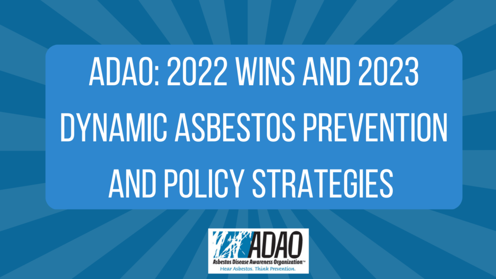 ADAO: 2022 Wins and 2023 Dynamic Asbestos Prevention and Policy ...