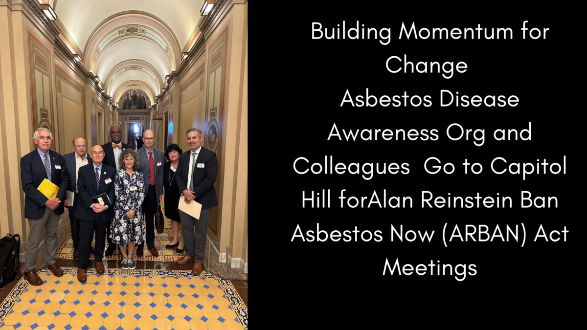 Building Momentum for Change: Asbestos Disease Awareness Org and ...