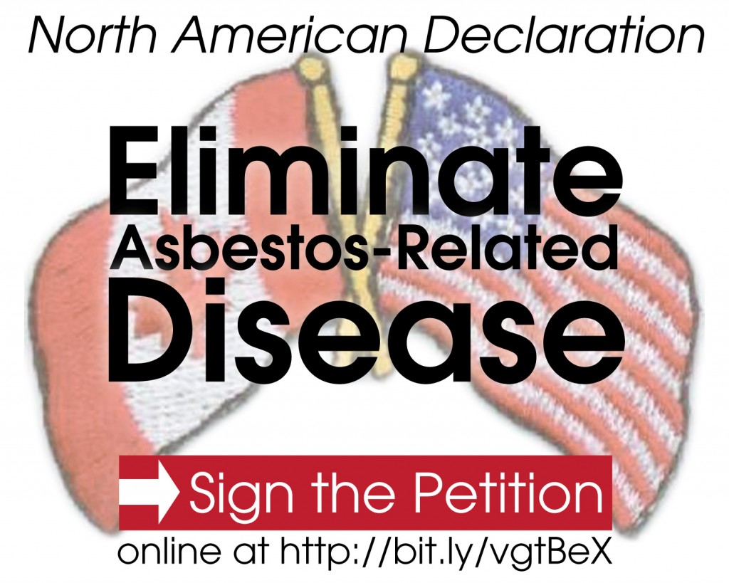 North American Declaration to Eliminate Asbestos-Related Diseases ...
